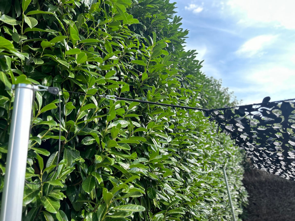 Cordes à cliquets | Le Filet de Camouflage